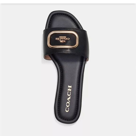 Coach | Shoes | Coach Women Evy Leather Fashion Comfort Flat Slide ...